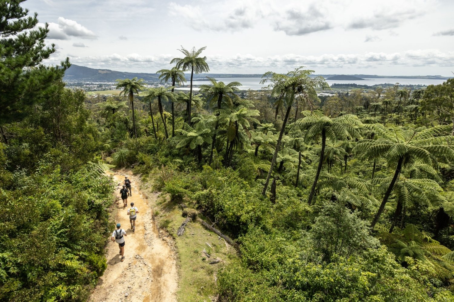 Résultat Tarawera Ultramarathon by UTMB : Zach Miller frappe fort ...