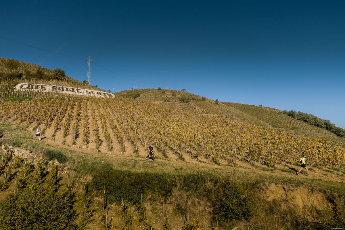 Trail en Côte-Rôtie : idéal pour préparer la SaintéLyon ! - Esprit Trail